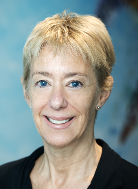 Board Directors - CPPSA